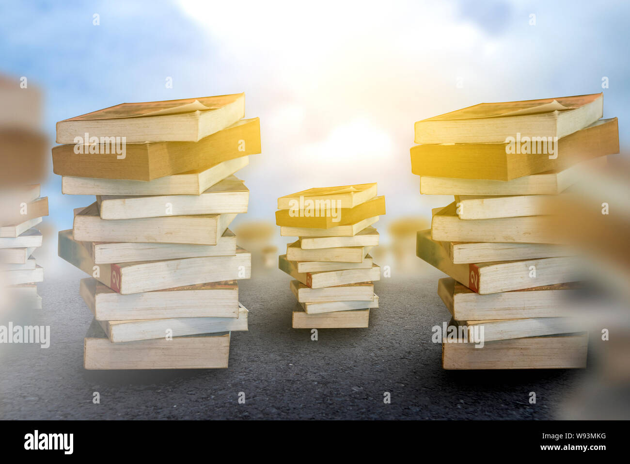Division of Books and Educational Templates for the Development of the ...