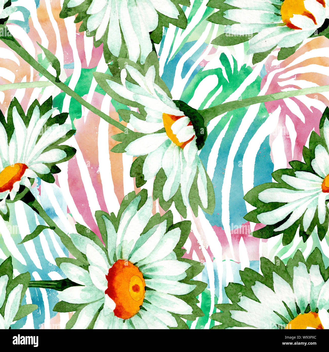 White daisy botanical flowers. Wild spring leaf wildflower isolated ...