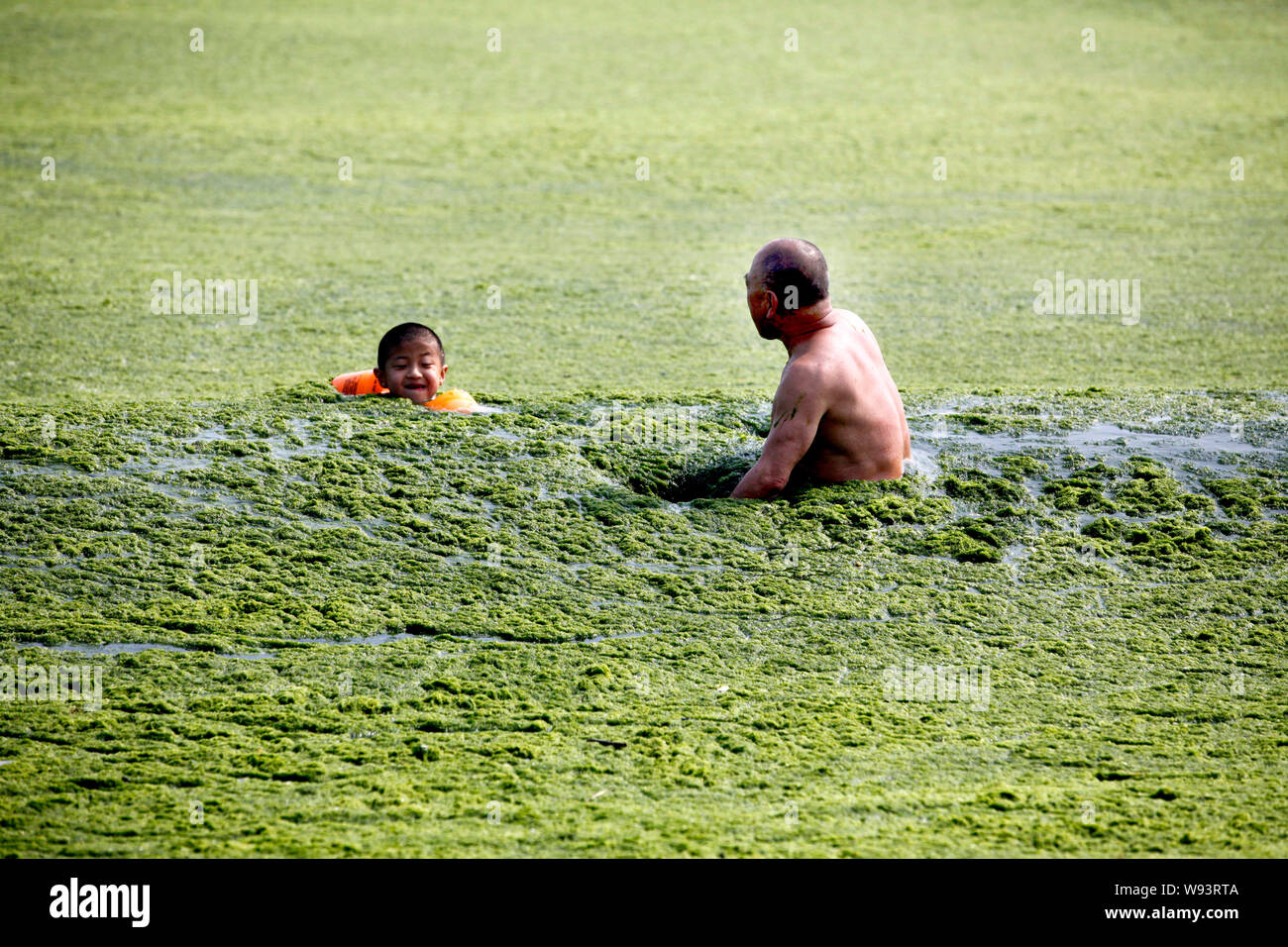 Qingdao algae swim hi-res stock photography and images - Alamy