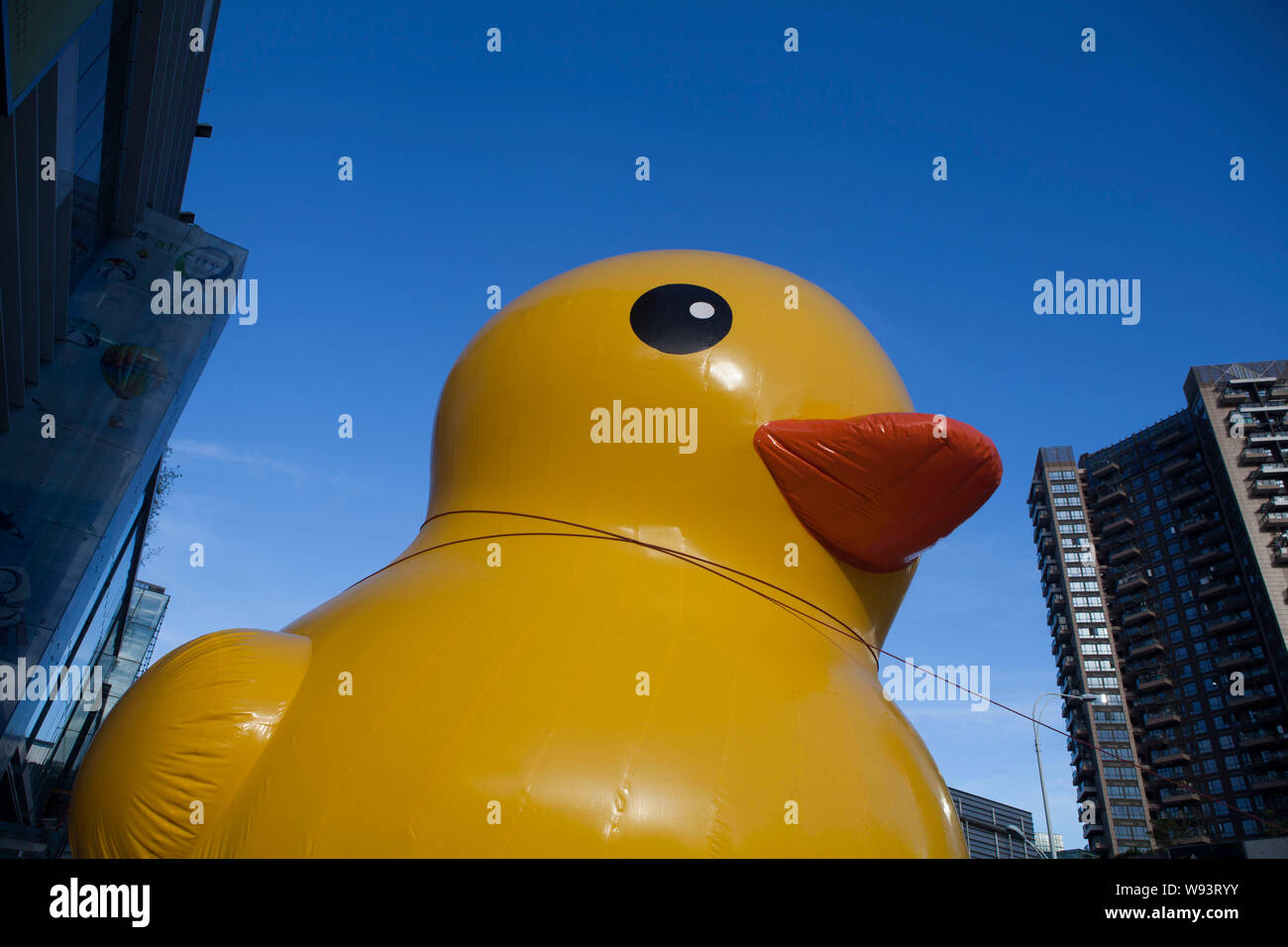 An inflatable yellow duck, which is believed to be a clone of the one ...