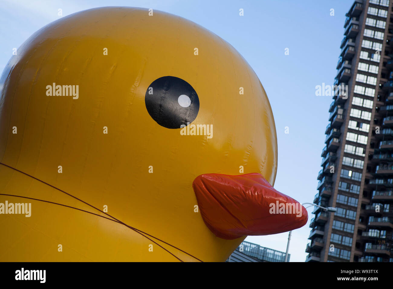 An inflatable yellow duck, which is believed to be a clone of the one ...