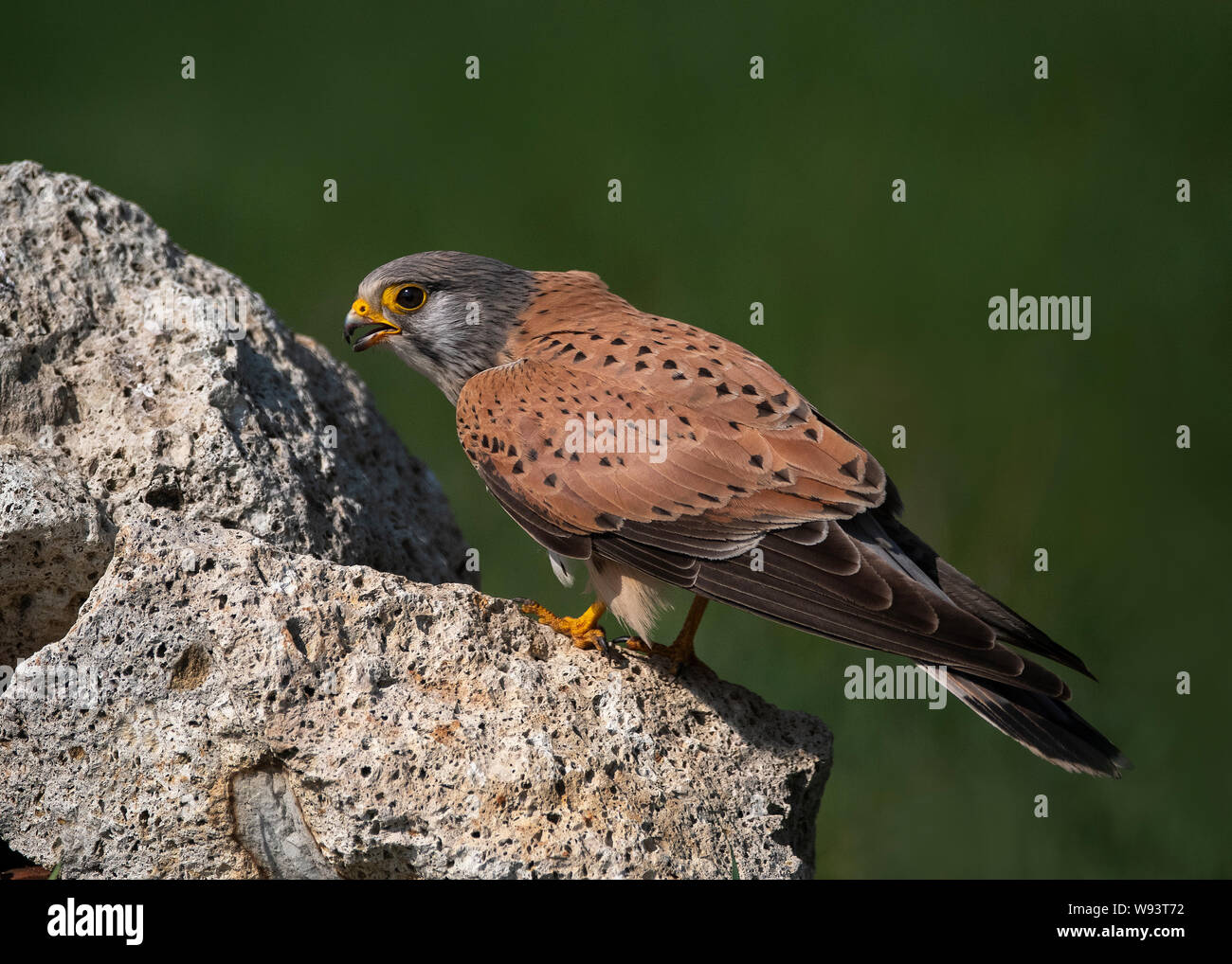 Calendar photograph hi-res stock photography and images - Alamy