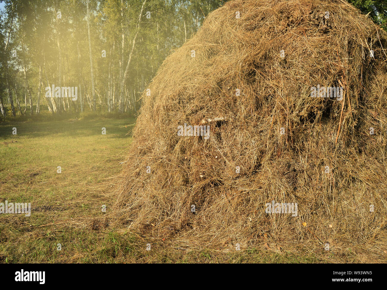 Authentic rustic background with haystack in the meadow Stock Photo - Alamy