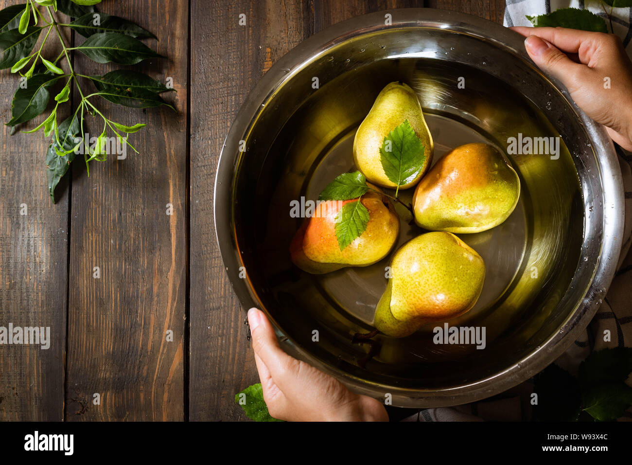 Female hands wash an organic pear crop in a tin basin. Farm harvest ...