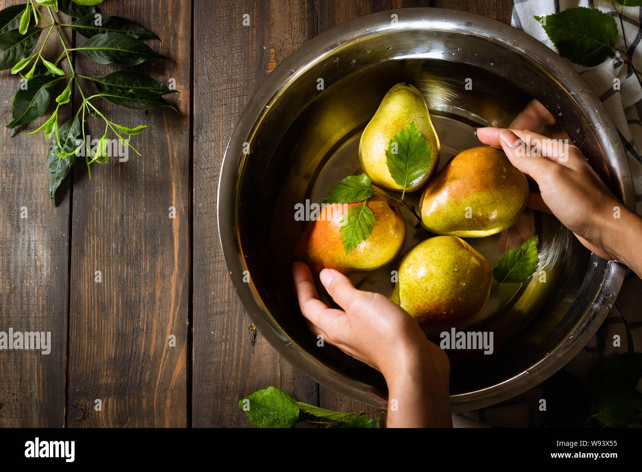 Female hands wash an organic pear crop in a tin basin. Farm harvest ...
