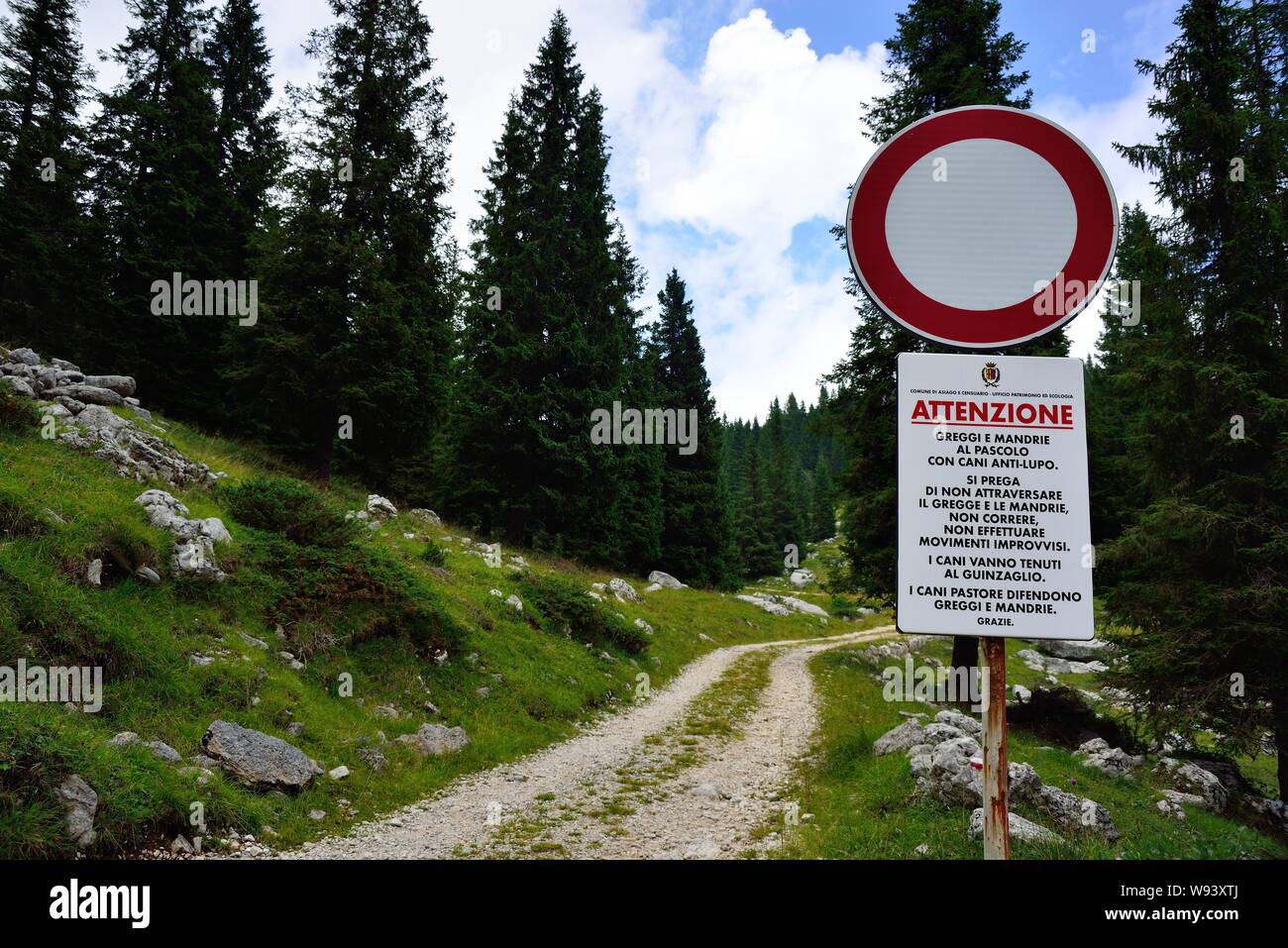 Anti wolf dogs hi-res stock photography and images - Alamy