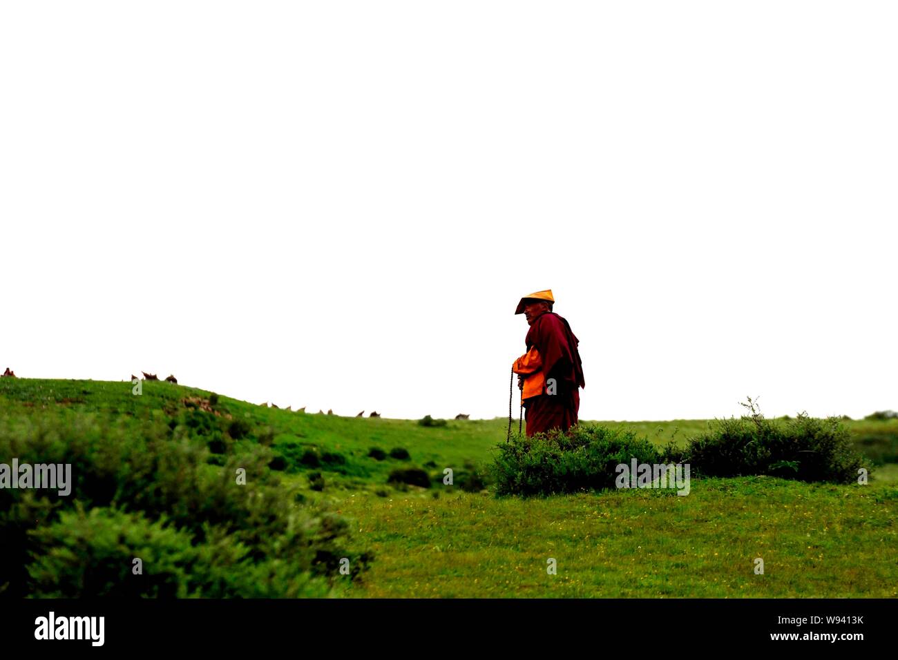 A local lama walks on a hillside after a sky burial in Sertar county ...