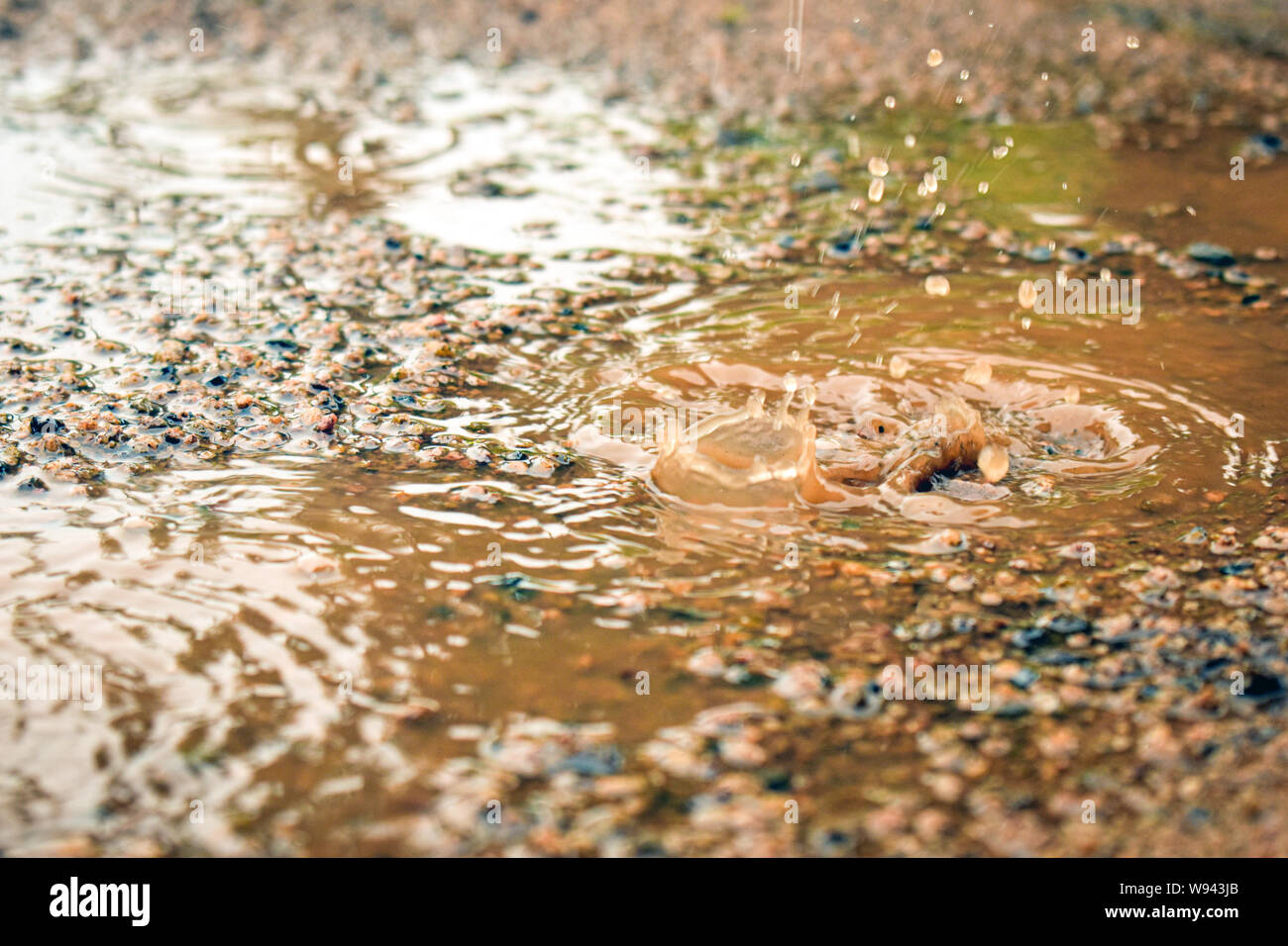 Raindrops falling ground hi-res stock photography and images - Alamy