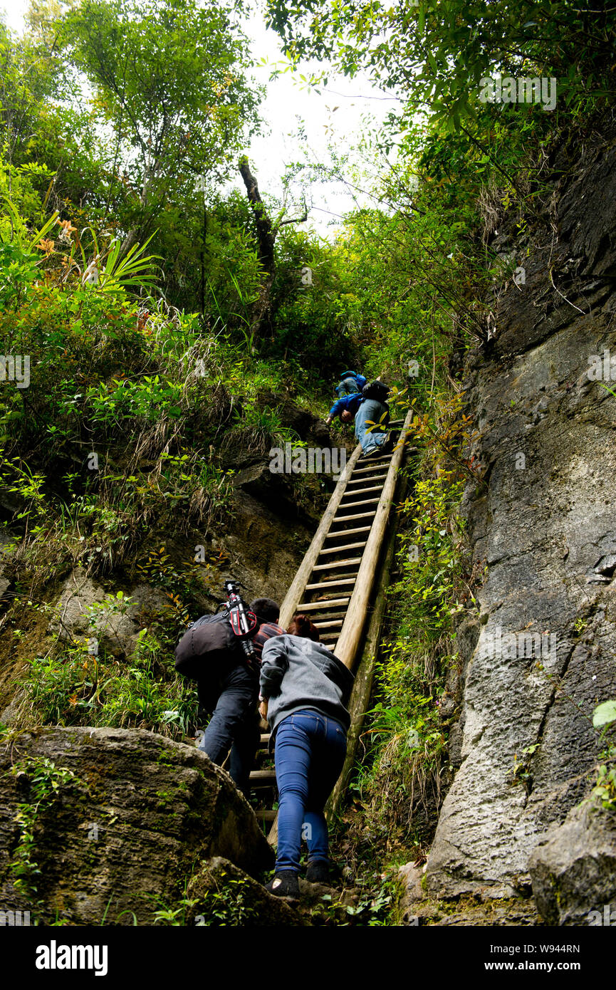Two ladders hi-res stock photography and images - Alamy