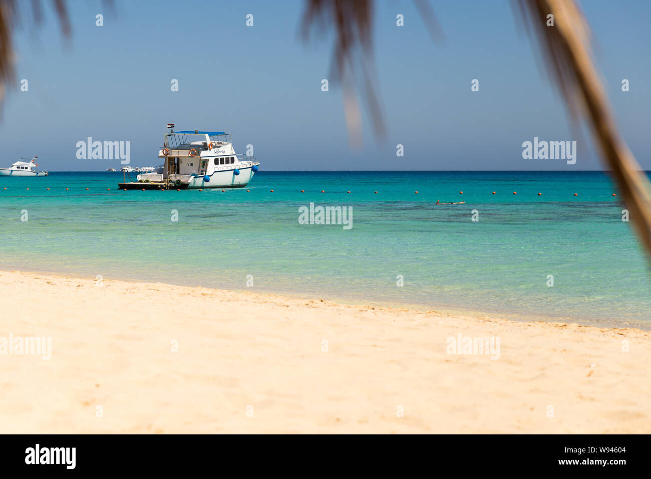 view from beach of Mahmya island with palm tree and boat Stock Photo ...