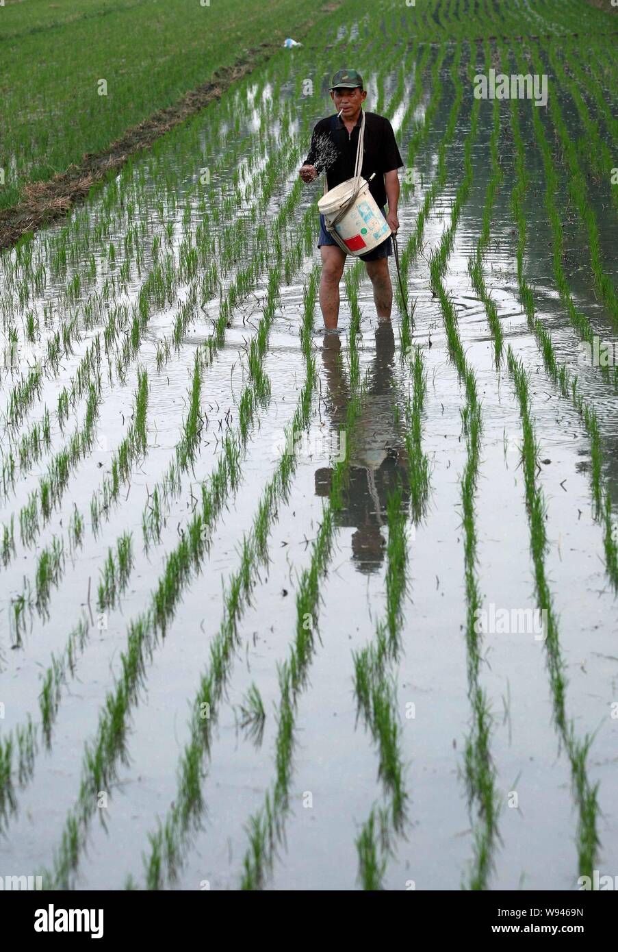 Hunan province rice field hi-res stock photography and images - Alamy