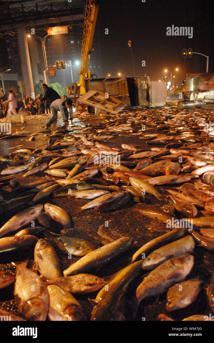 You pick a fish hi-res stock photography and images - Alamy