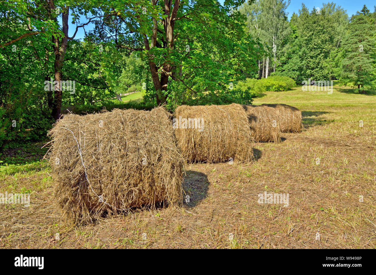 Haying time hi-res stock photography and images - Alamy