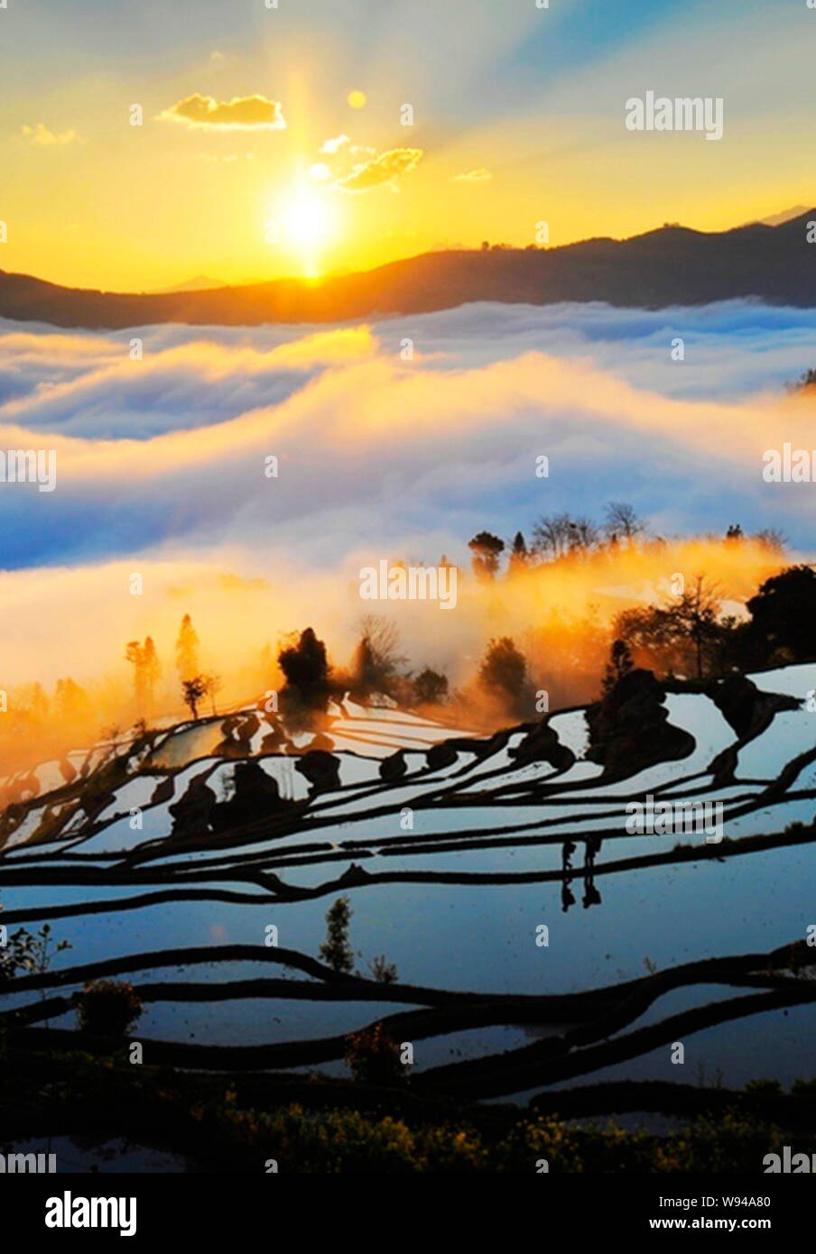 This picture shows the beautiful landscape of Hani rice terraces at ...