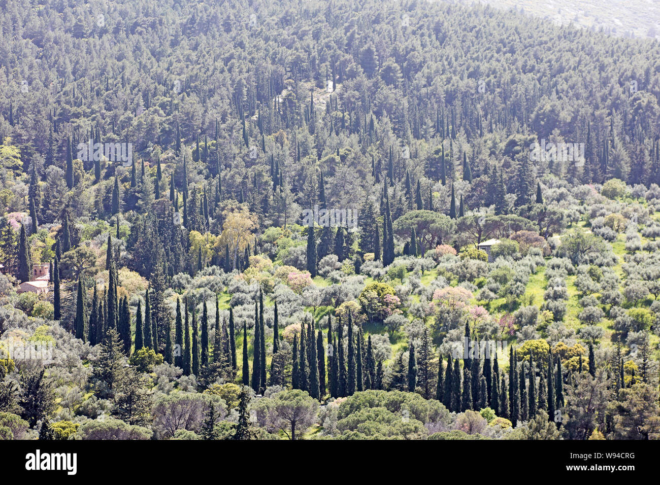 Mountain in Athens greece Hymmitos fifty megapixels Stock Photo - Alamy