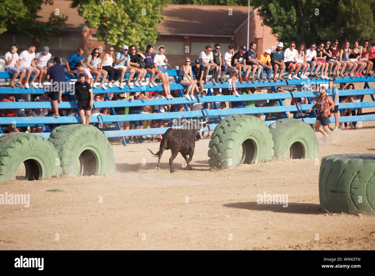 Bull-Running at a Fiesta Stock Photo - Alamy