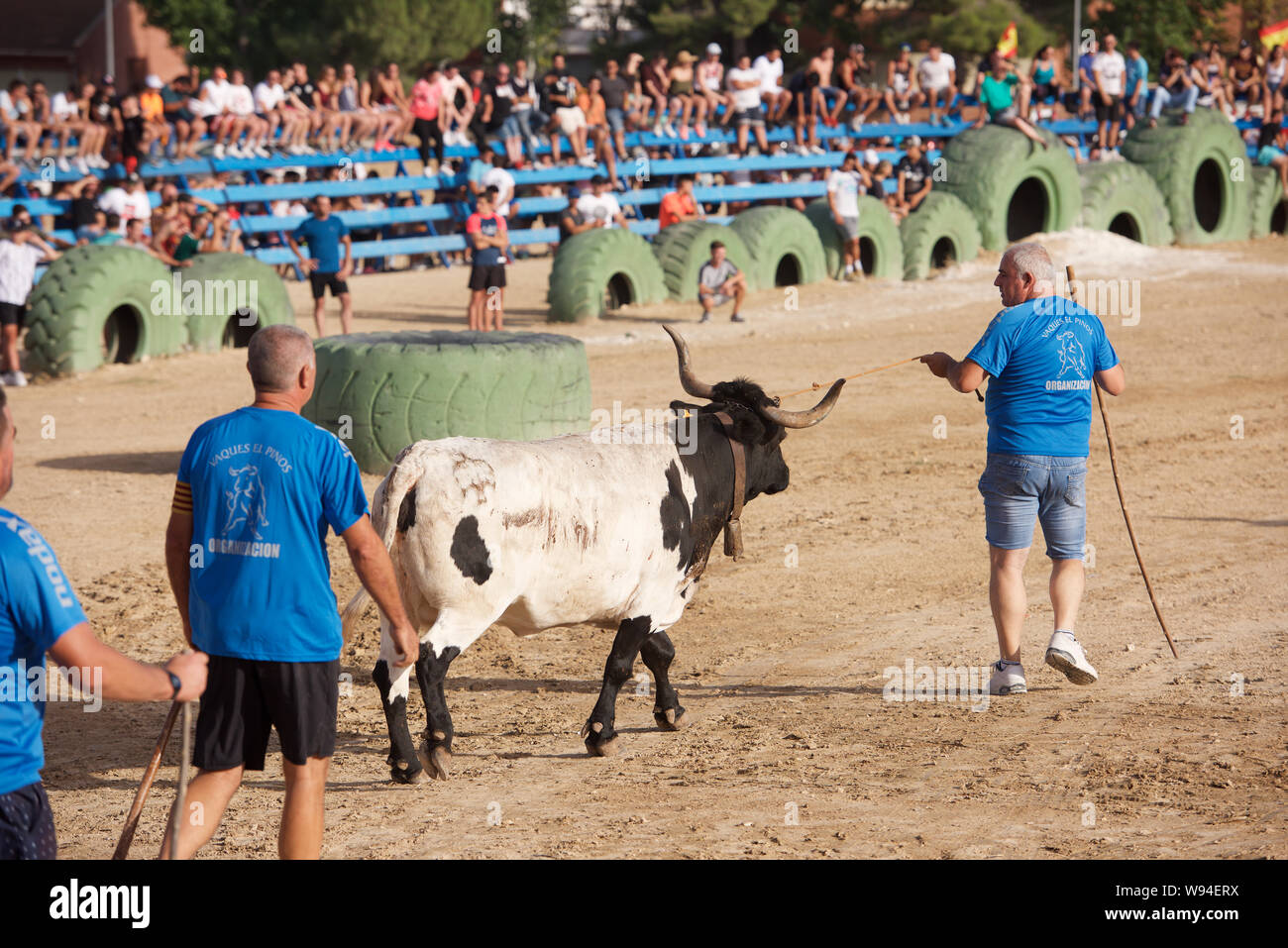 Cow crowd hi-res stock photography and images - Alamy