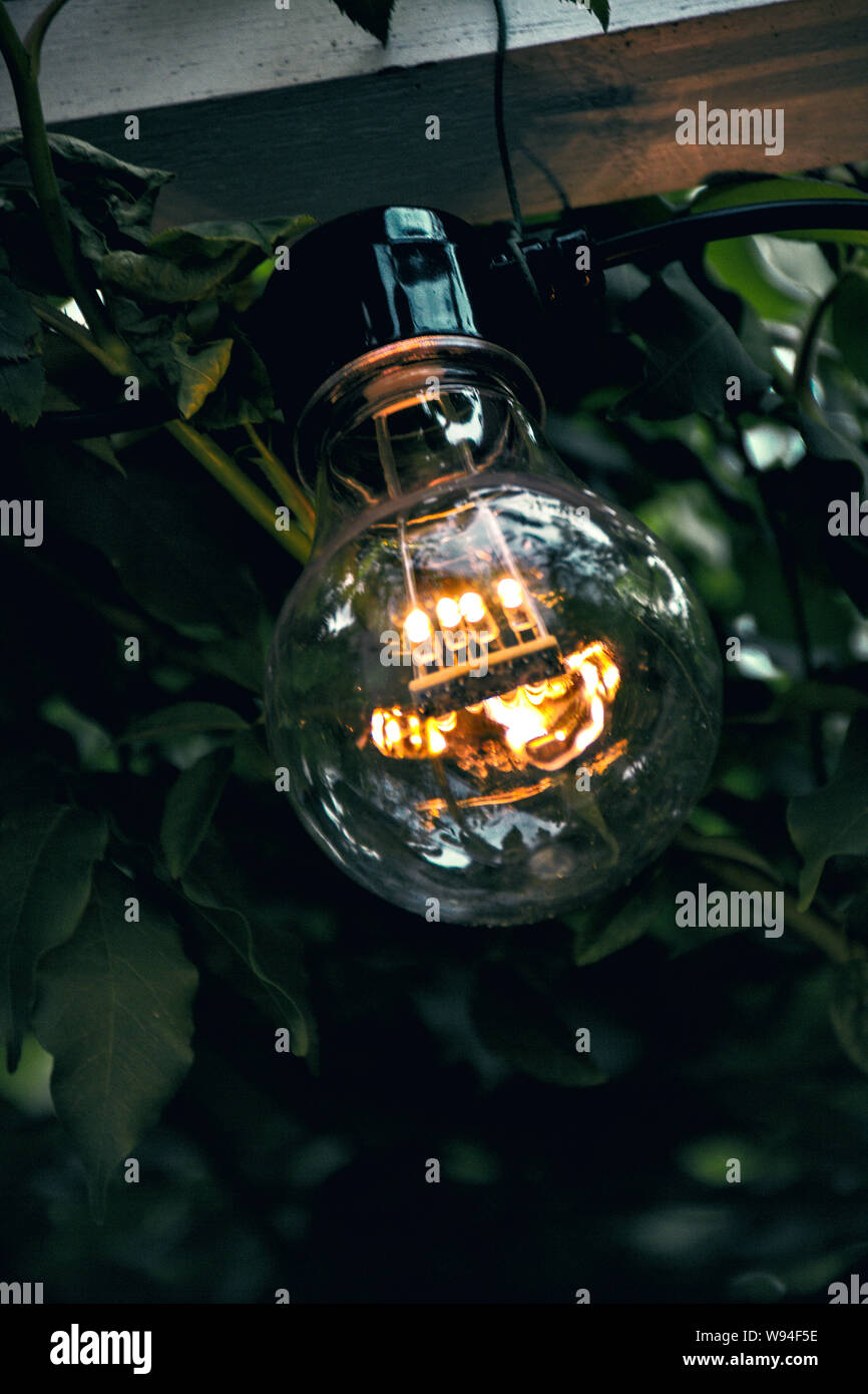 light bulb in greenery Stock Photo - Alamy