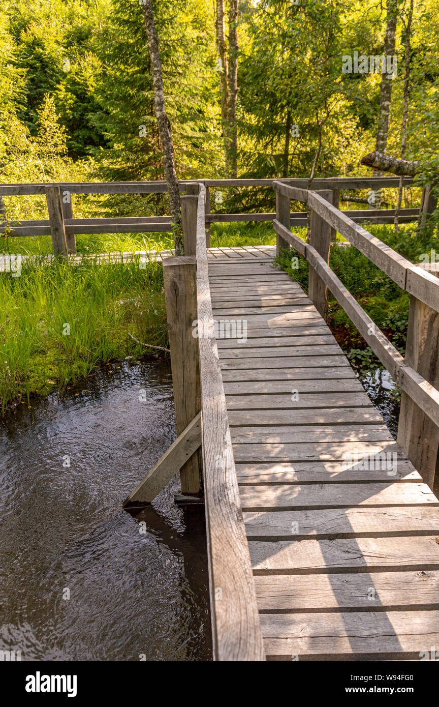 wooden footbridge through the swamp with bubbling lakes Stock Photo - Alamy