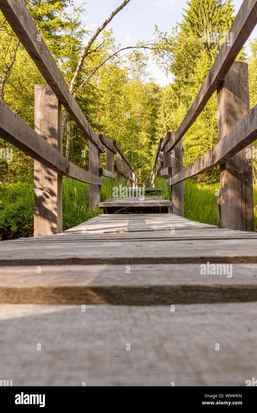 wooden footbridge through the swamp with bubbling lakes Stock Photo - Alamy