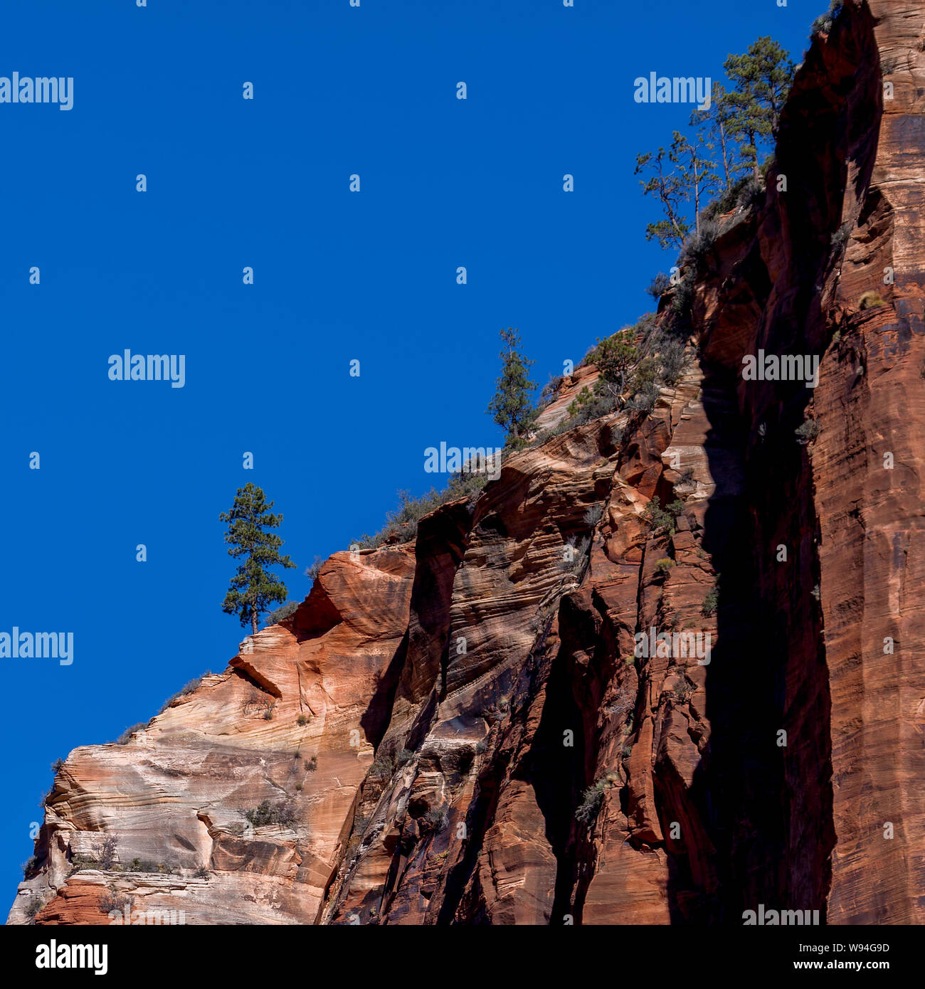 Layers sandstone zion national park hi-res stock photography and images ...