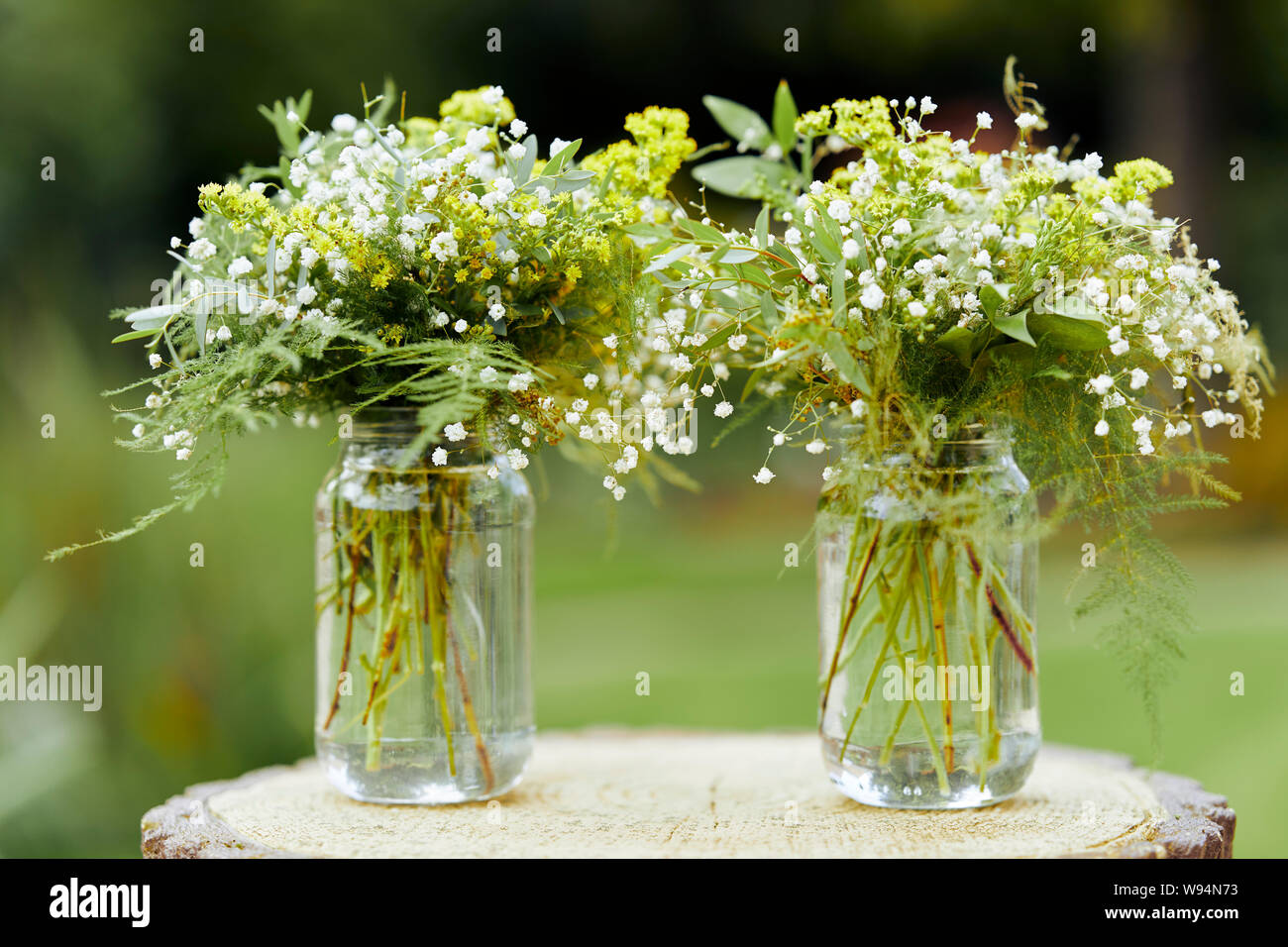 Gypsophila hi-res stock photography and images - Alamy
