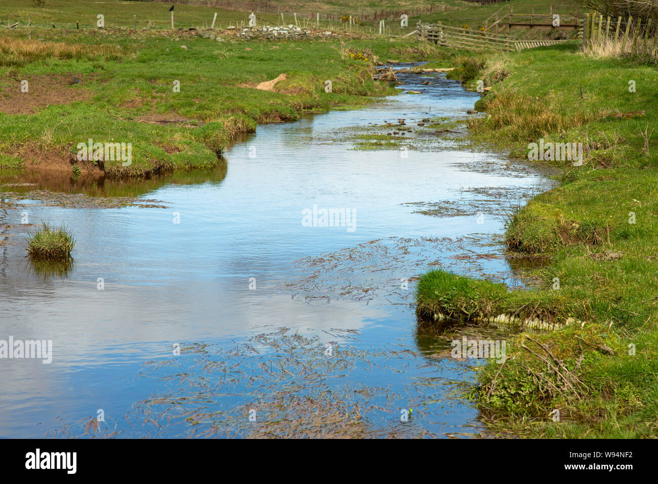 Lauder scotland view hi-res stock photography and images - Alamy