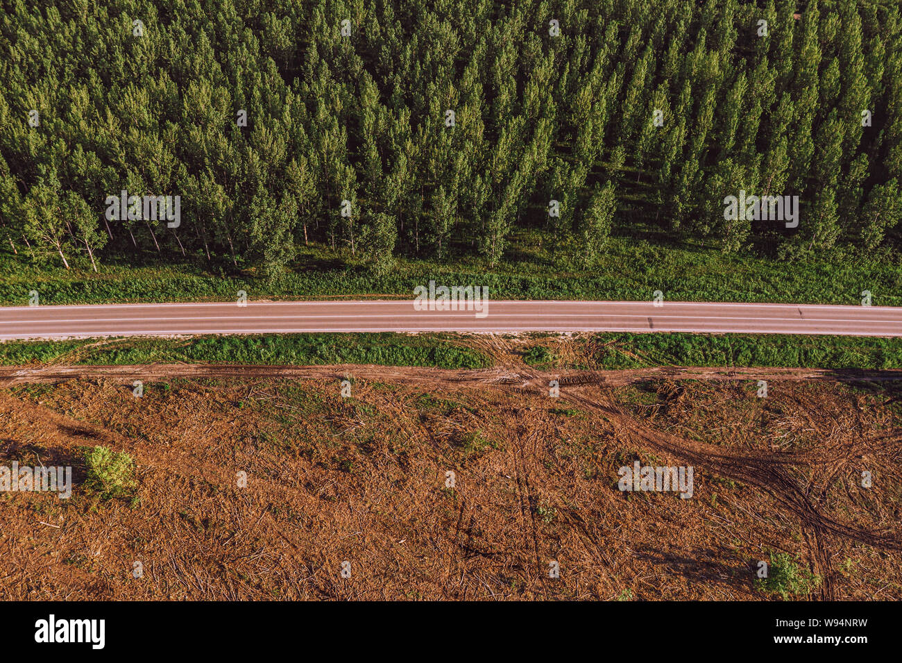 Aerial road environment deforestation hi-res stock photography and ...