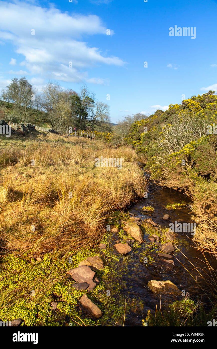 Lammermuir valley hi-res stock photography and images - Alamy