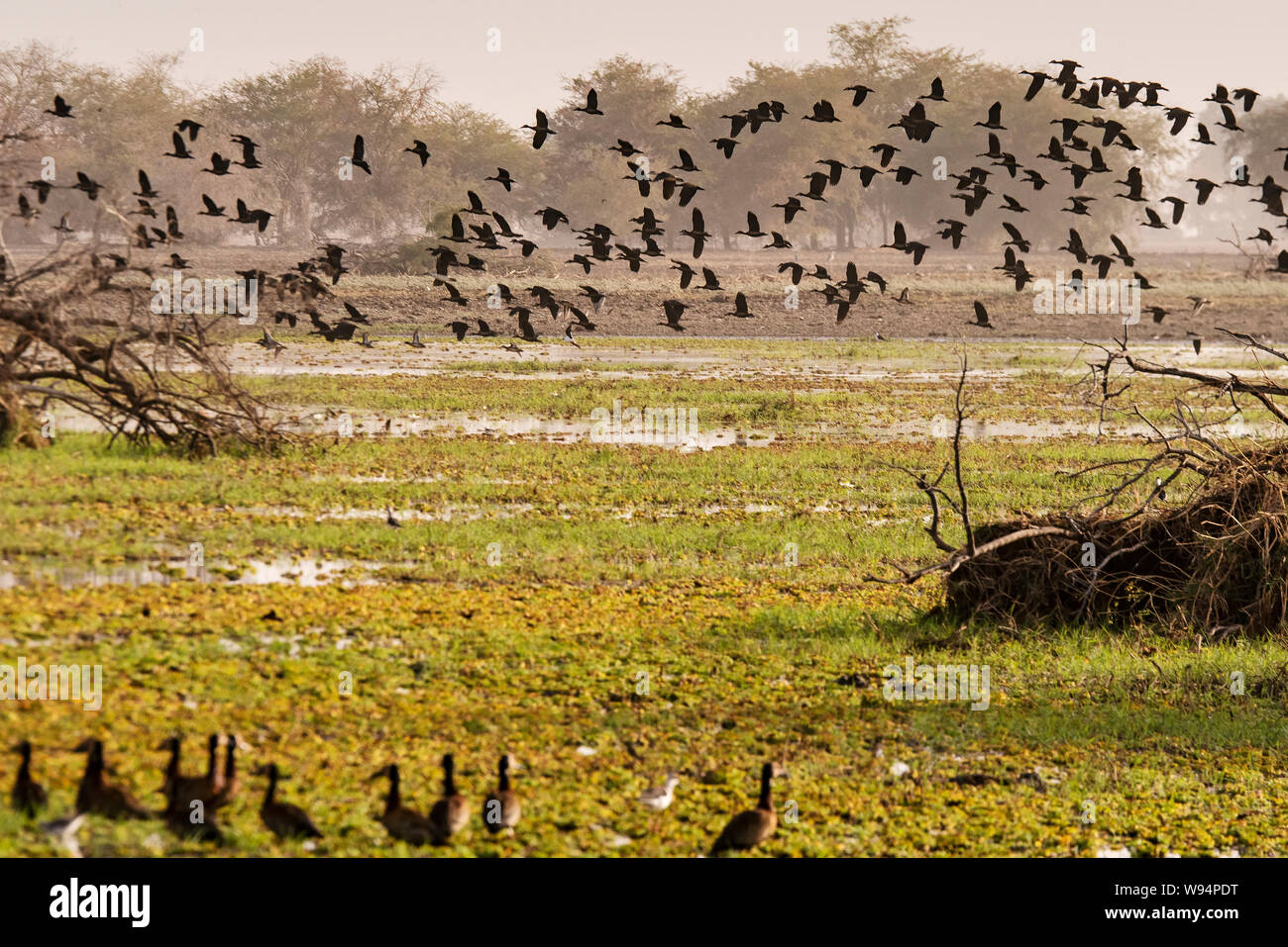 Zakouma National Park Brochure