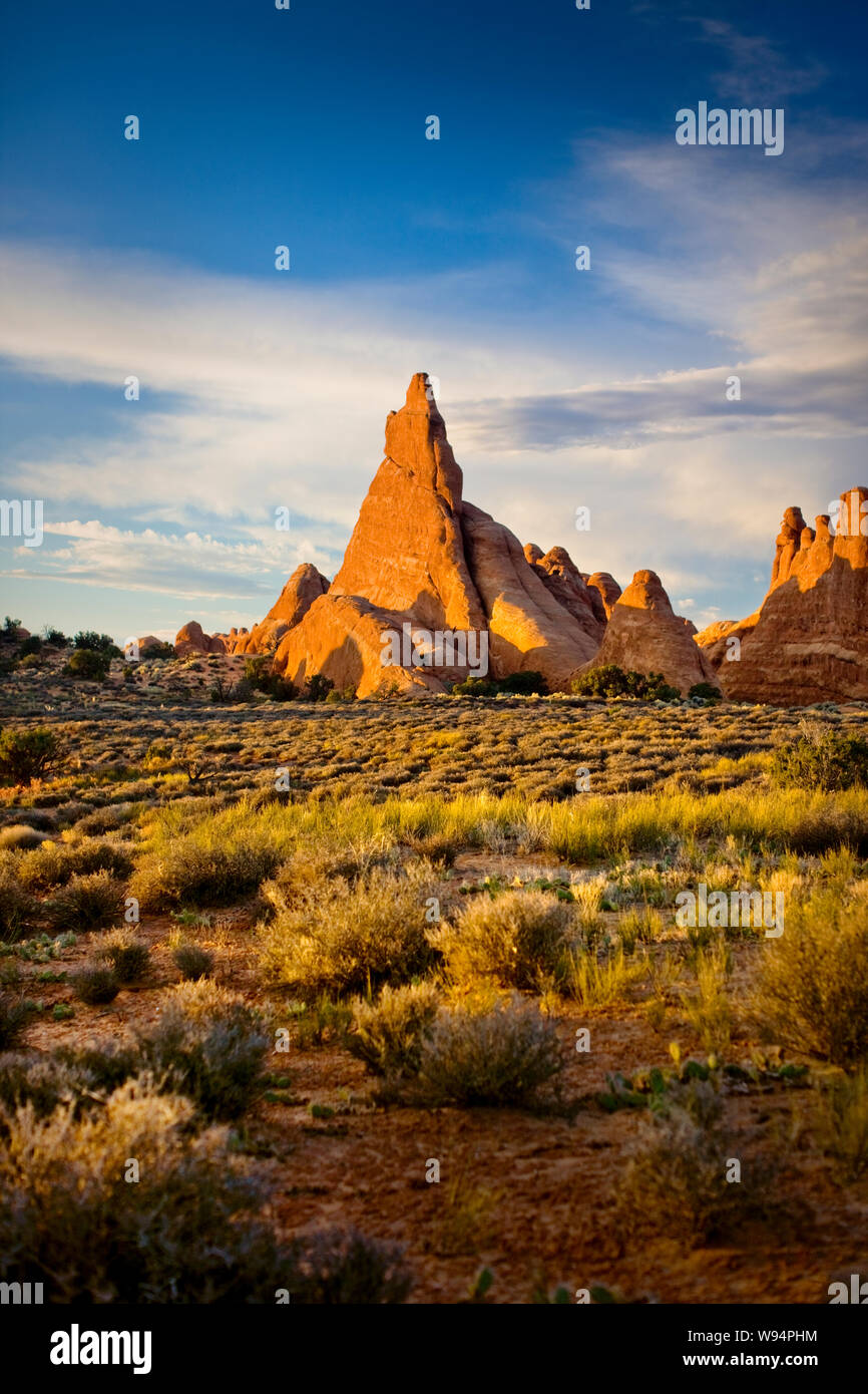 Arid landscape low shrubs hi-res stock photography and images - Alamy