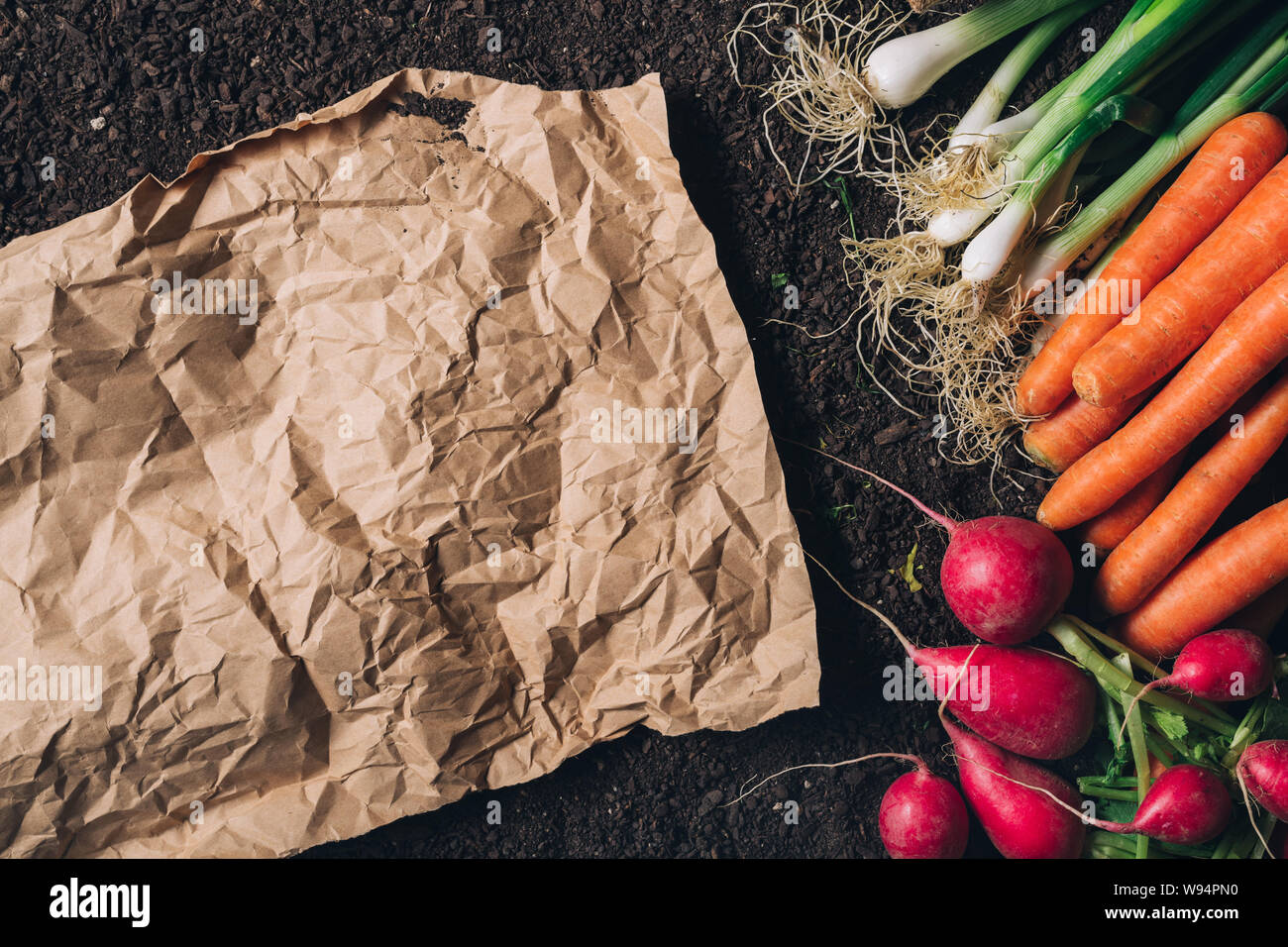 Crumpled paper copy space for organic farming concept, top view ...
