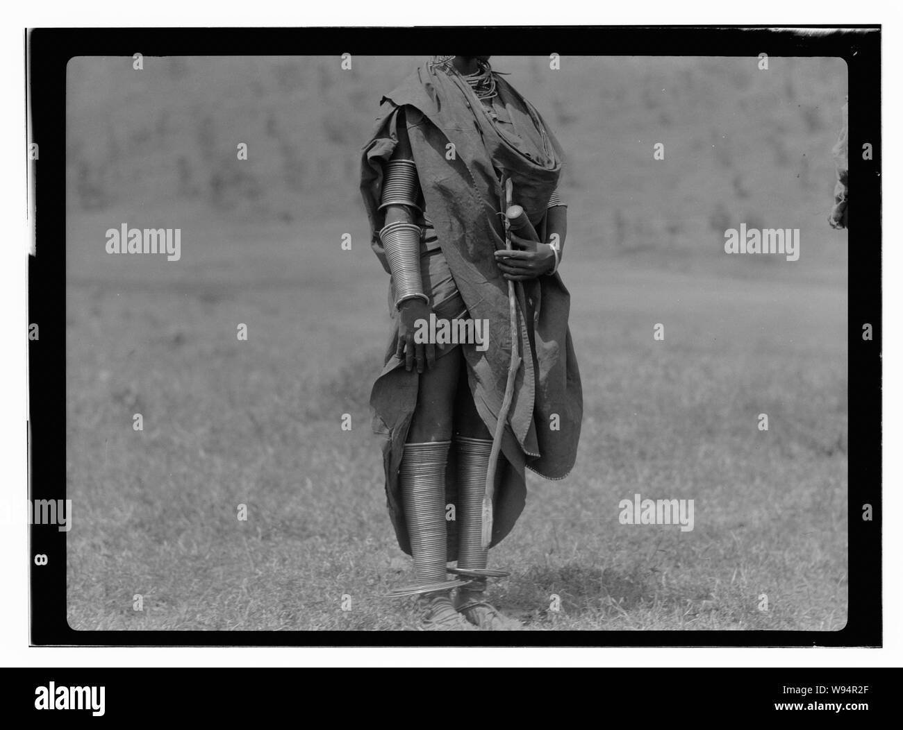 Tropical rivers Cut Out Stock Images & Pictures - Alamy