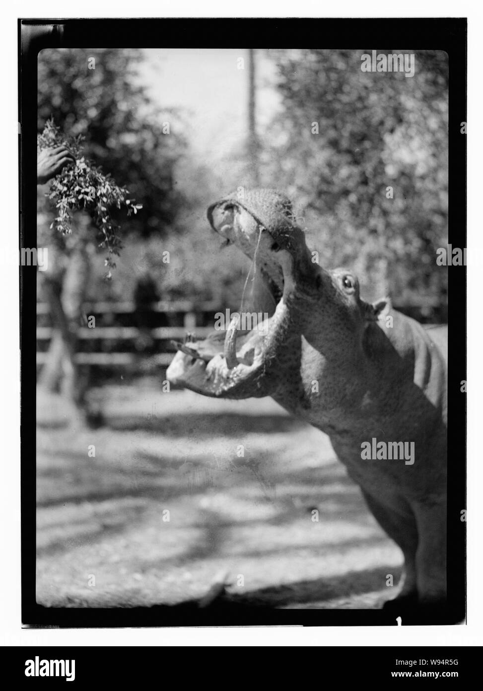 African continent Black and White Stock Photos & Images - Alamy