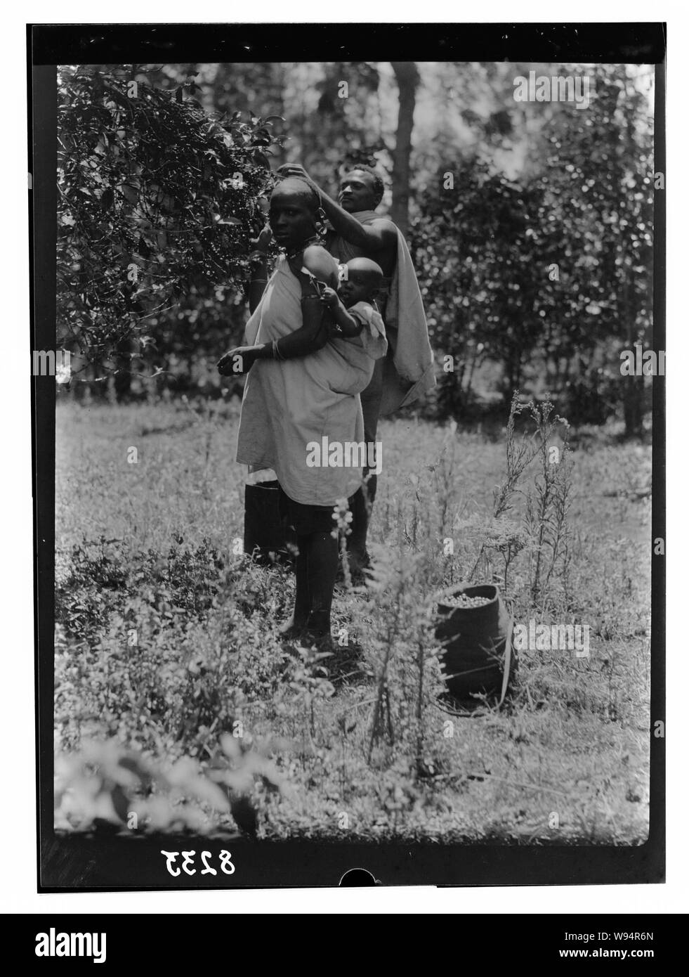 African wildlife education Cut Out Stock Images & Pictures - Alamy