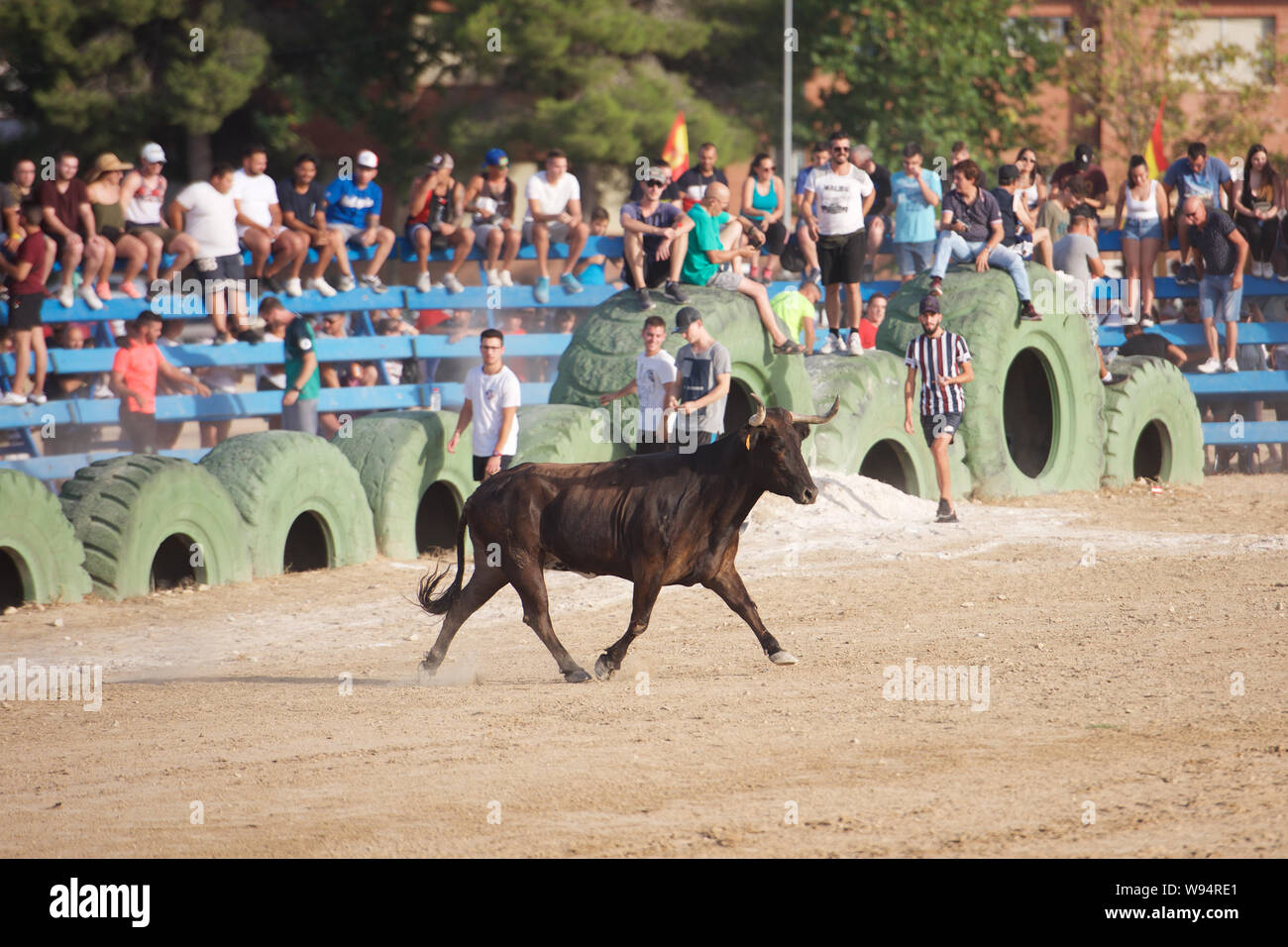Bull-Running at a Fiesta Stock Photo - Alamy