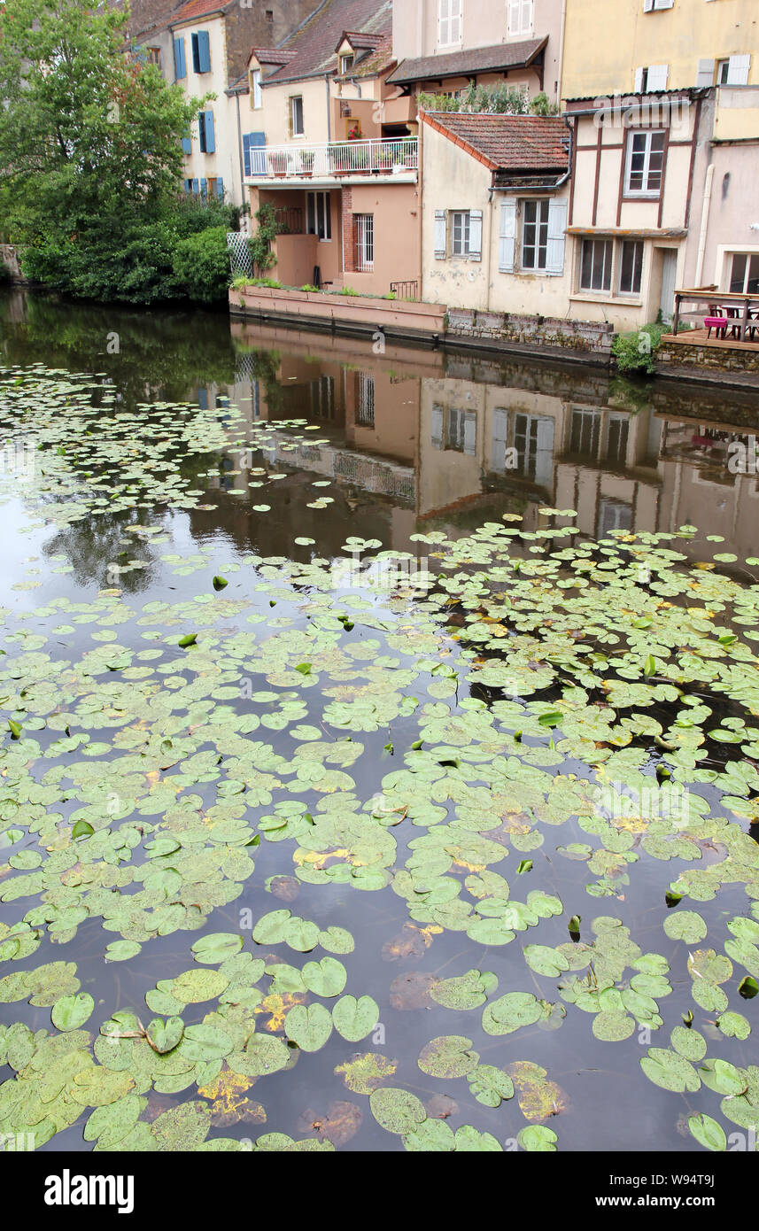 Charolles hi-res stock photography and images - Alamy