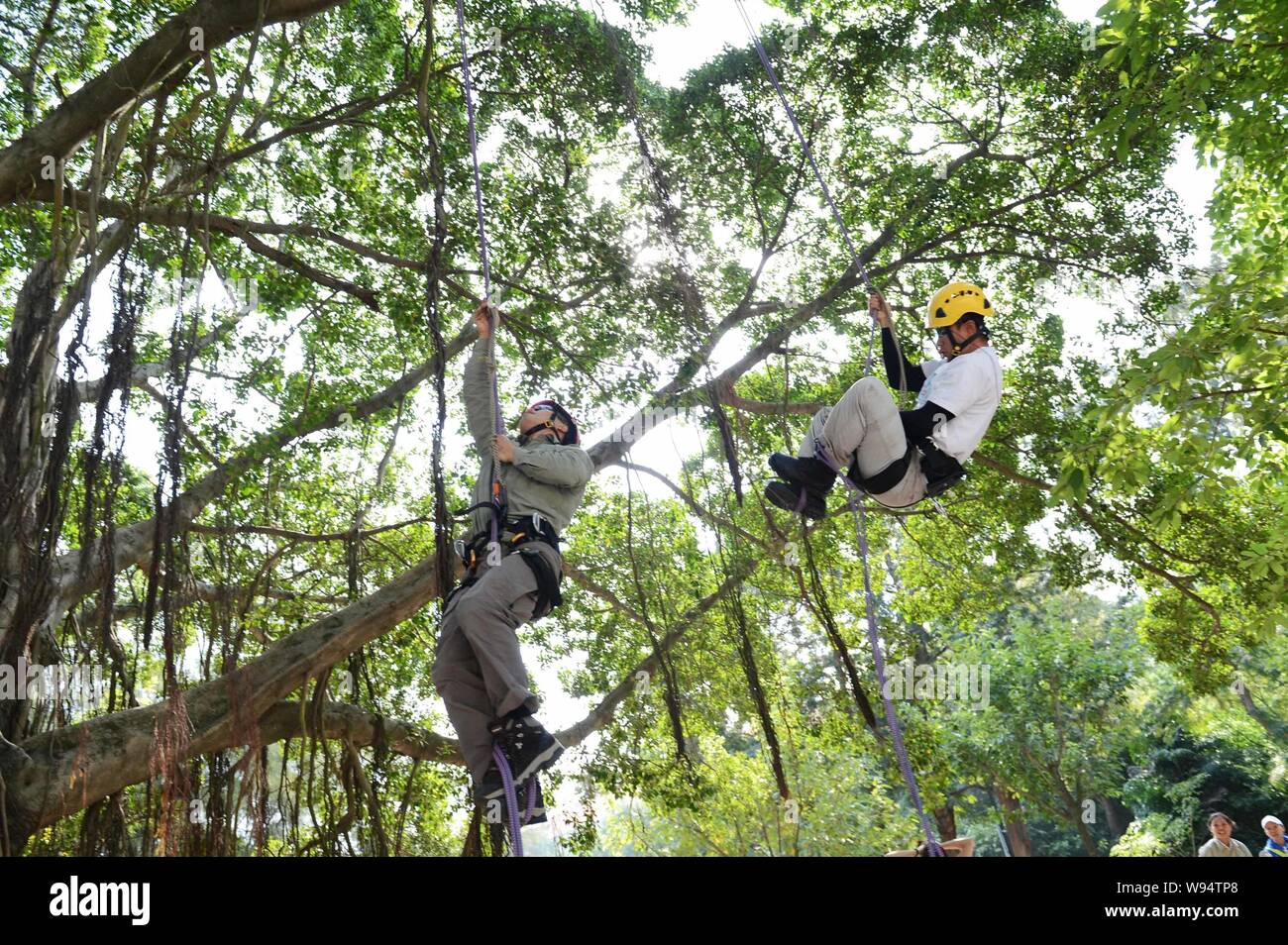 Chinese teachers climb a tree to show how to do it to students during a ...