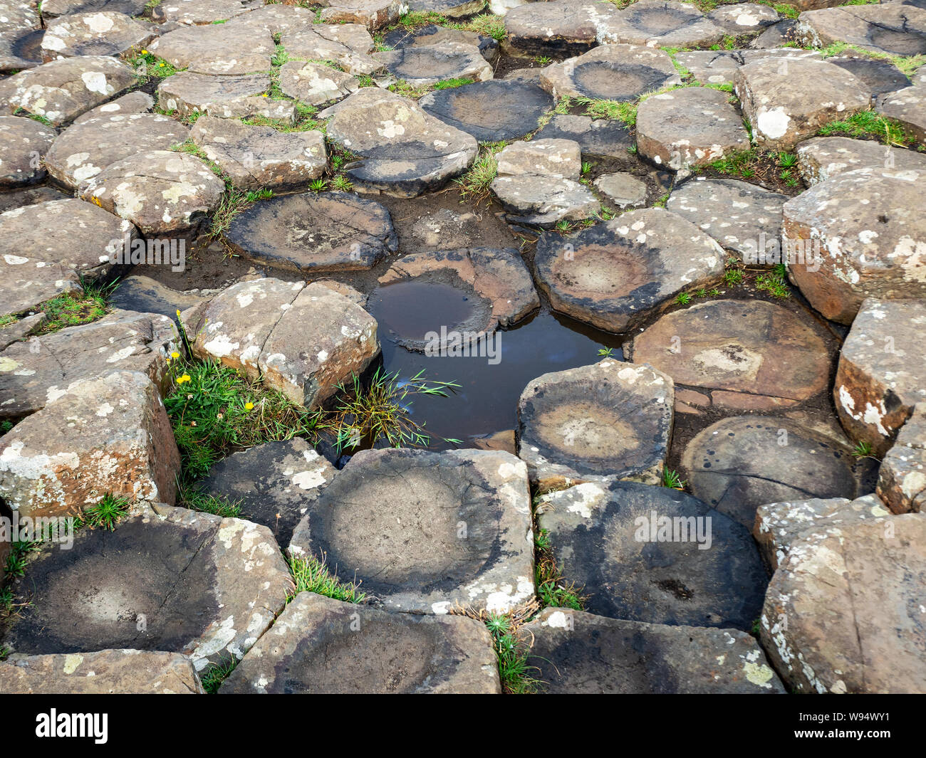 Giant’s Causeway, famous tourist attraction of Northern Ireland, UK ...