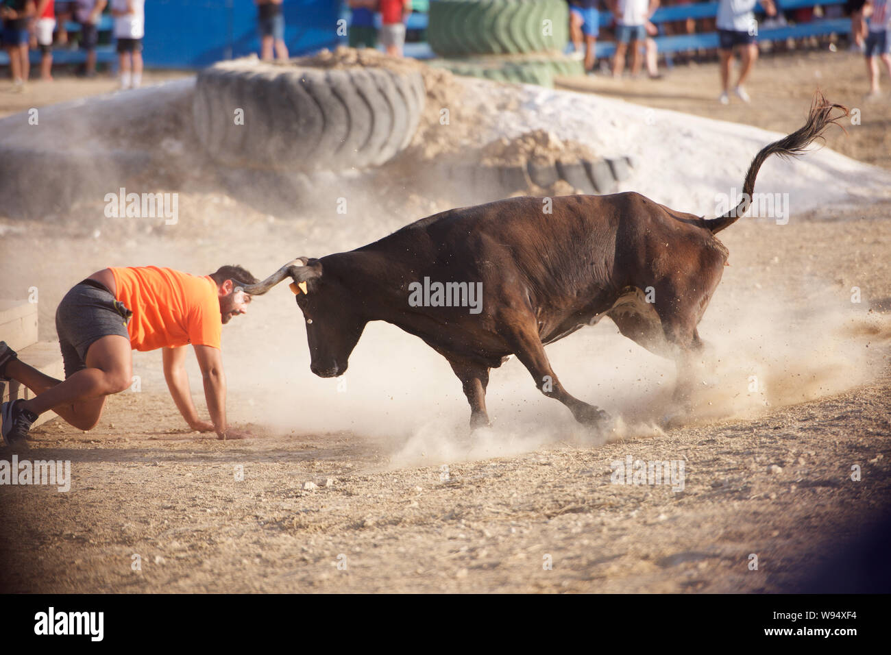 Attacking Bull High Resolution Stock Photography and Images - Alamy