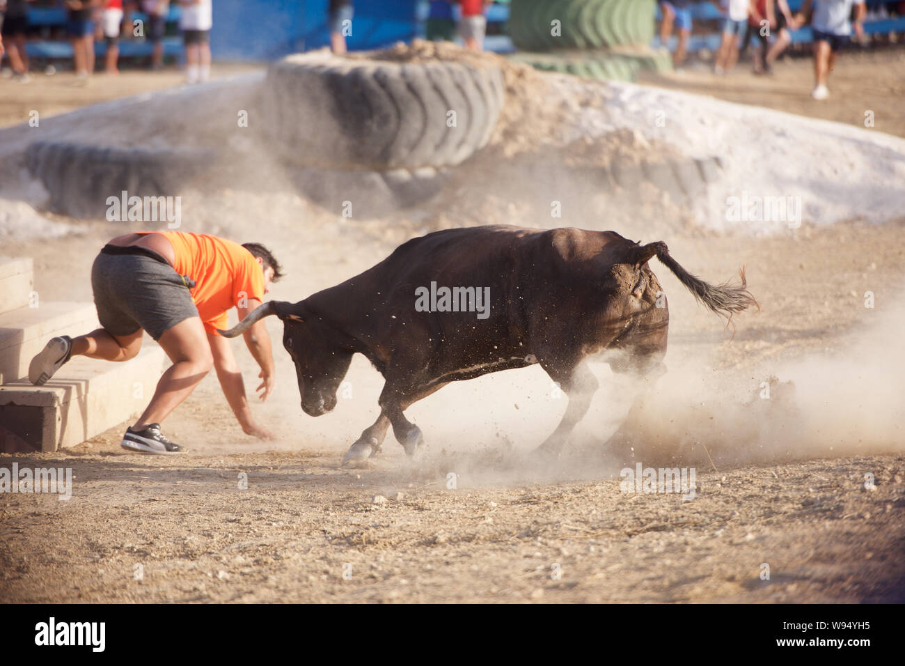 Bull attacking a man inside a bull-running arena Stock Photo - Alamy