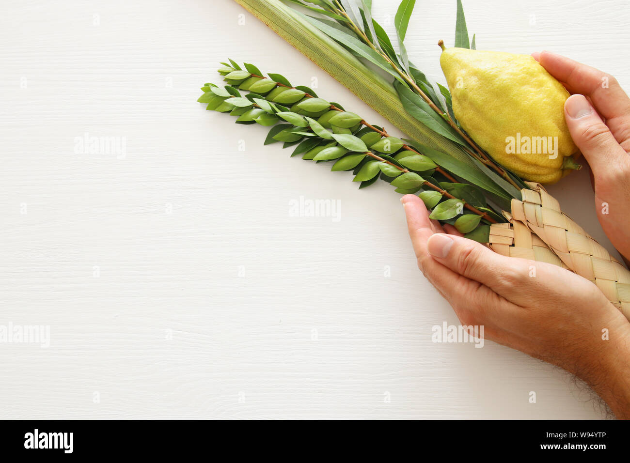 Jewish festival of Sukkot. Traditional symbols (The four species ...