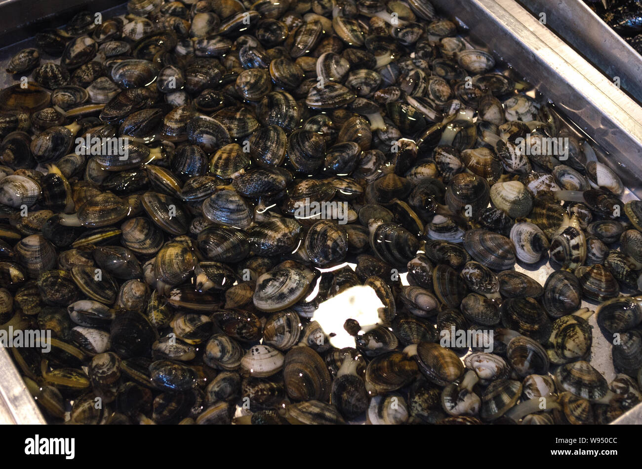 Sicily street food fish hi-res stock photography and images - Alamy