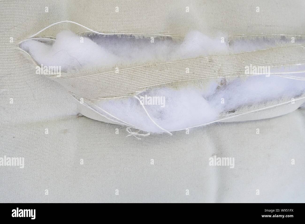 Damaged and Torn/Ripped Foam Seat Cushion Stock Photo - Alamy