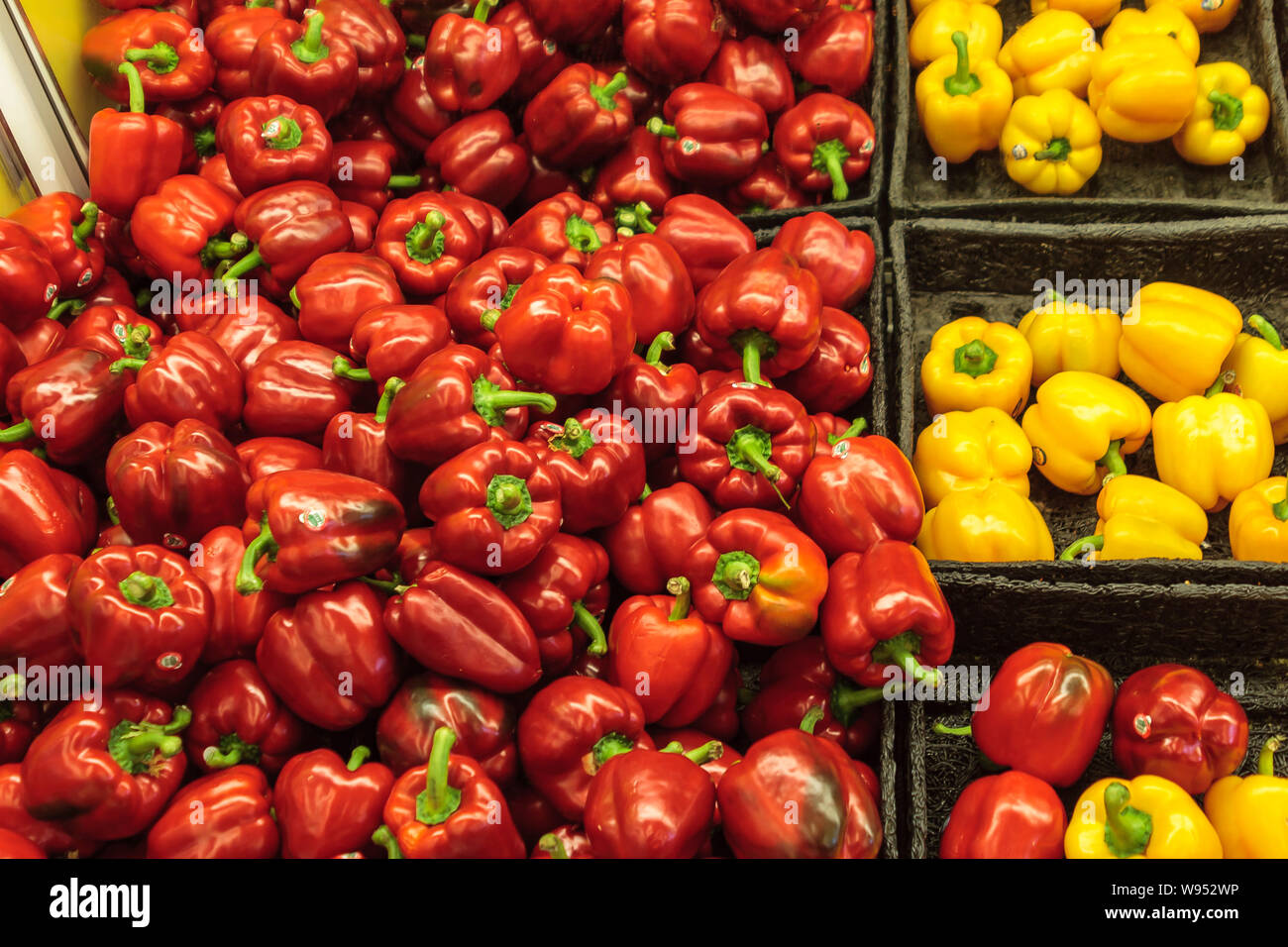 Red and yellow peppers displayed in trays at a grocery store Stock ...