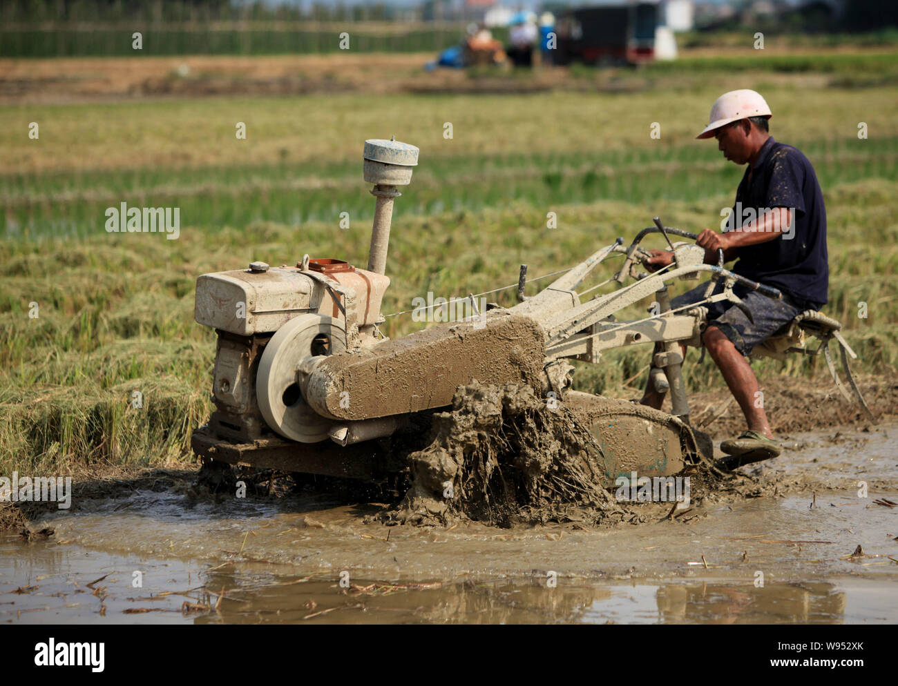 --FILE--A Chinese farmer drives a tractor to plow his field before ...