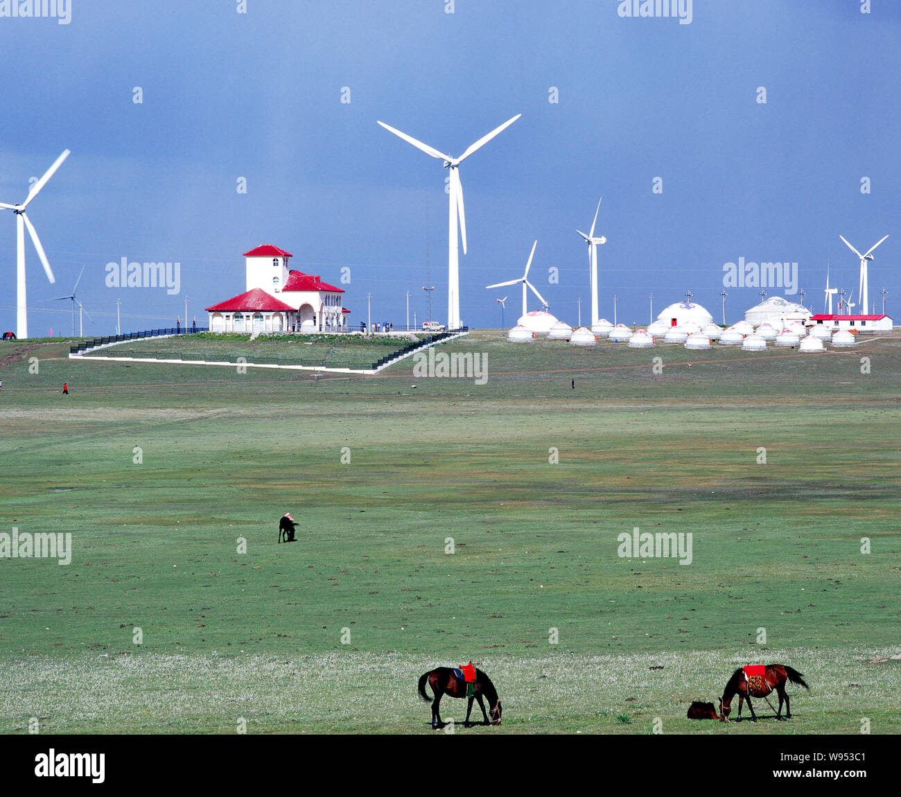 Horses eat grass near wind turbines whirling to generate electricity at ...