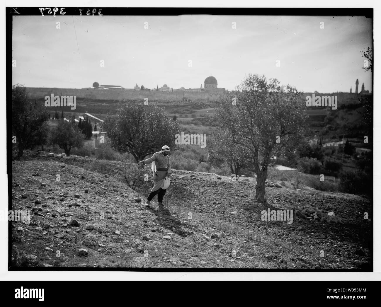 Agriculture, etc. Sowing grain. Behold, a sower went forth to sow Stock ...
