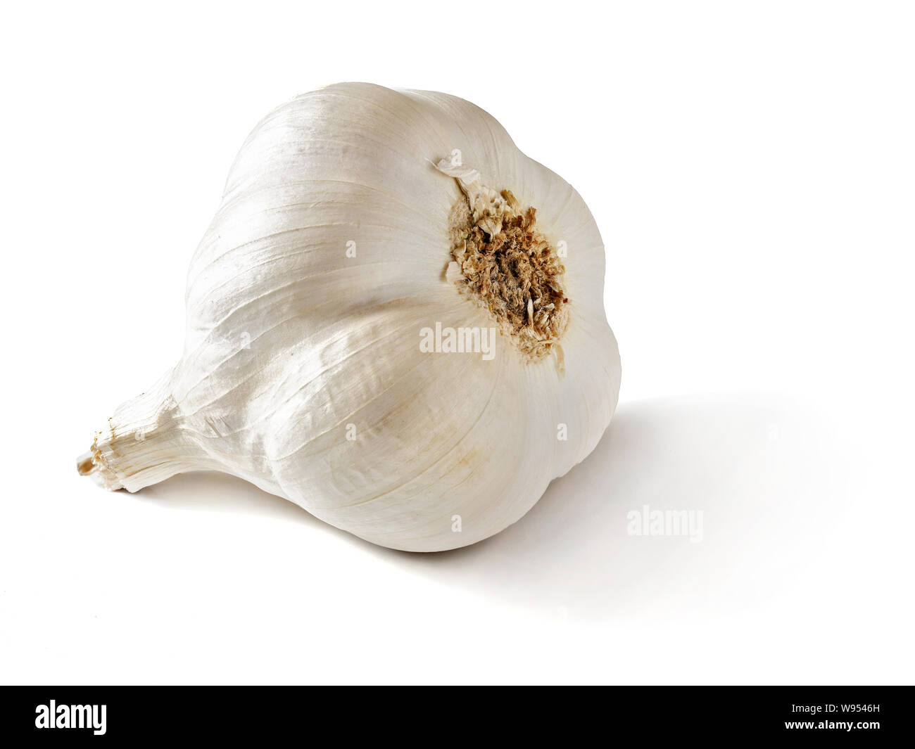 Single garlic bulb isolated on white background Stock Photo - Alamy