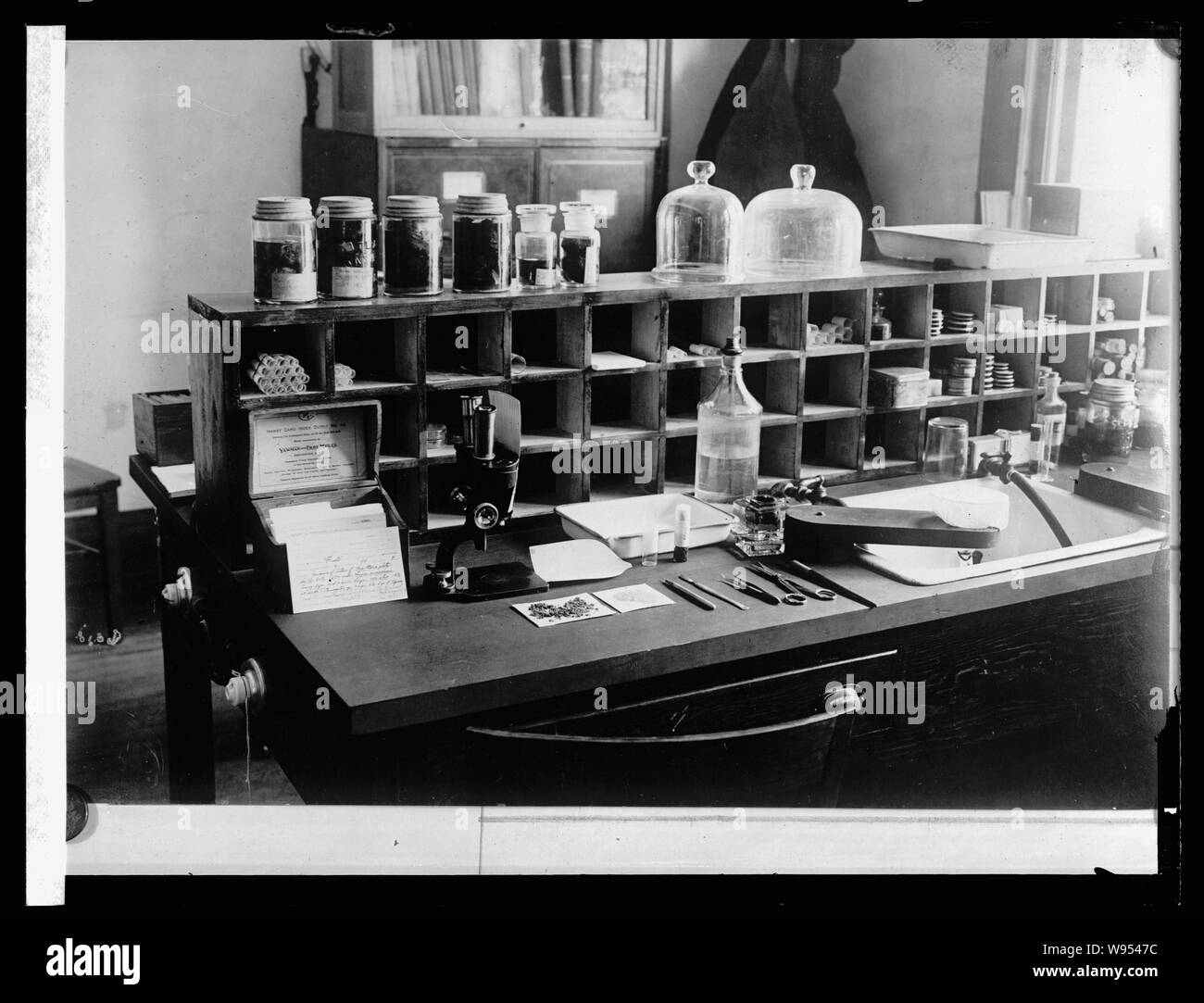 Biological survey Black and White Stock Photos & Images - Alamy